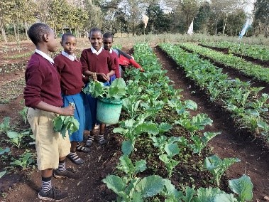 Grand Circle Foundation: A look back at what we’ve accomplished ...